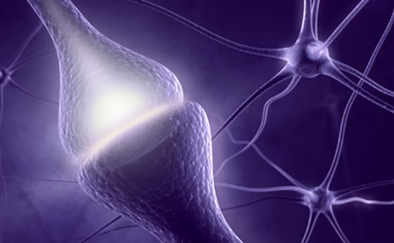 Le sinapsi della salute | Saluteuropa